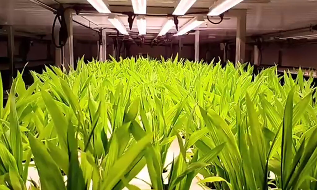 「魔法の石」できれいなトイレを世界中に - Bplatz | 大阪産業創造館 中小企業情報サイト「ビープラッツ」